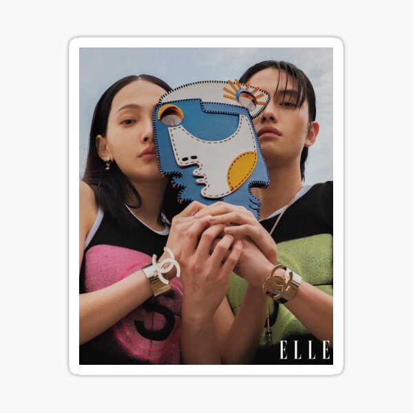 "ELLE TAIWAN AESTHETIC FANDY FAN " Sticker for Sale by novaskey | Redbubble