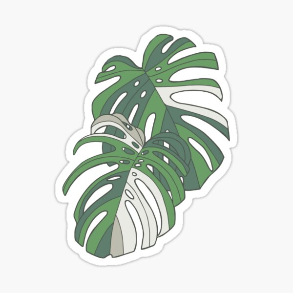 "Variegated Monstera" Sticker for Sale by IMPHives | Redbubble