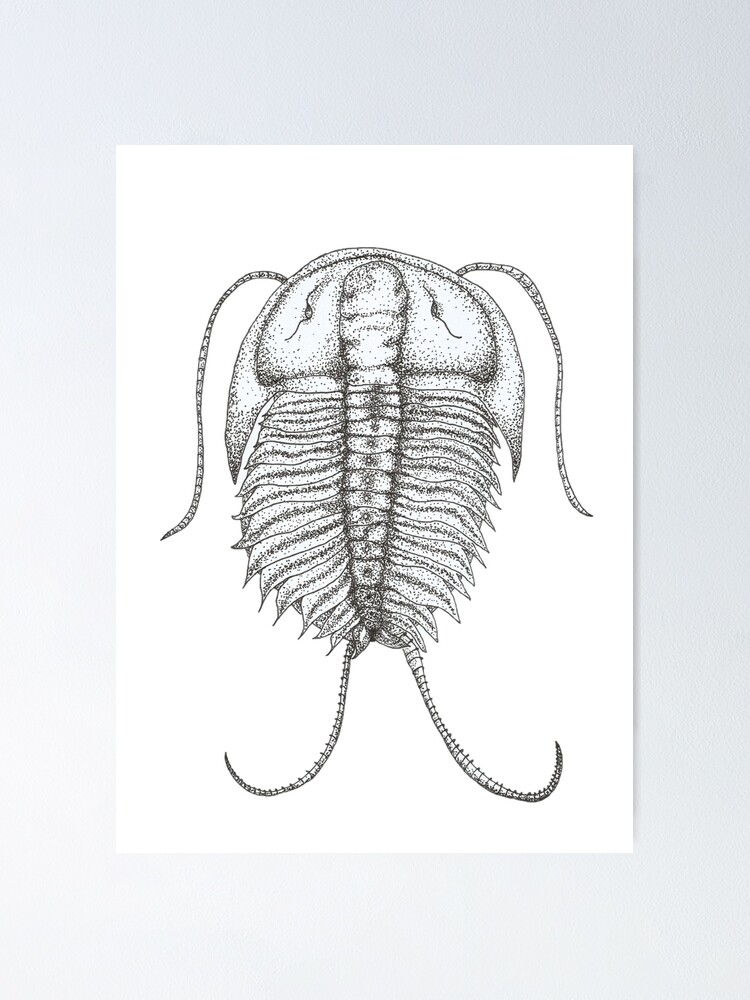 "Pointillism Trilobite" Poster for Sale by Laimki | Redbubble