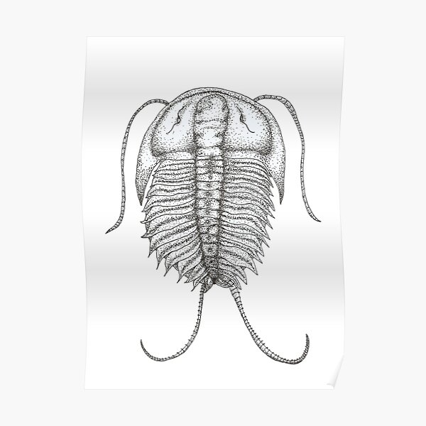 "Pointillism Trilobite" Poster for Sale by Laimki | Redbubble