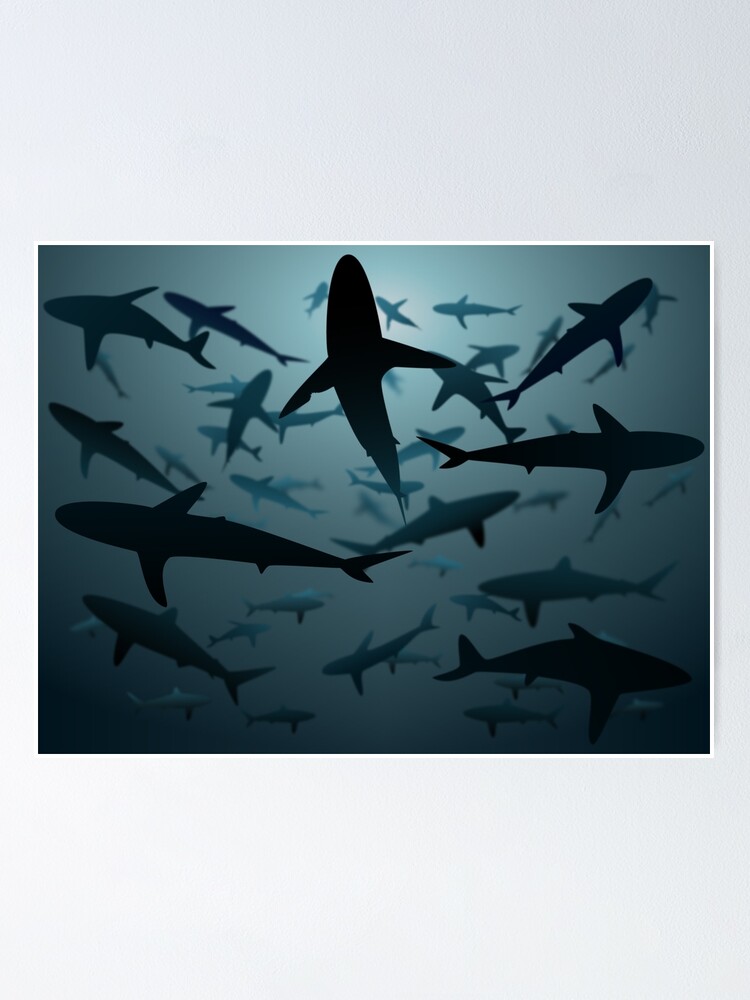 "Sharks, Lots and Lots of Sharks" Poster by d3mentia | Redbubble