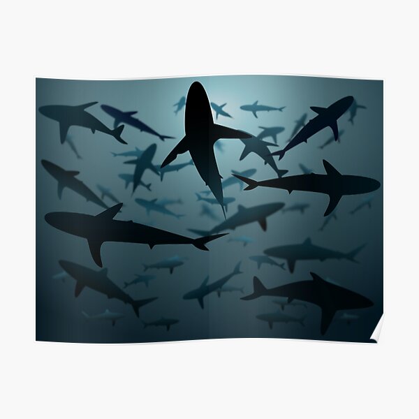 "Sharks, Lots and Lots of Sharks" Poster by d3mentia | Redbubble