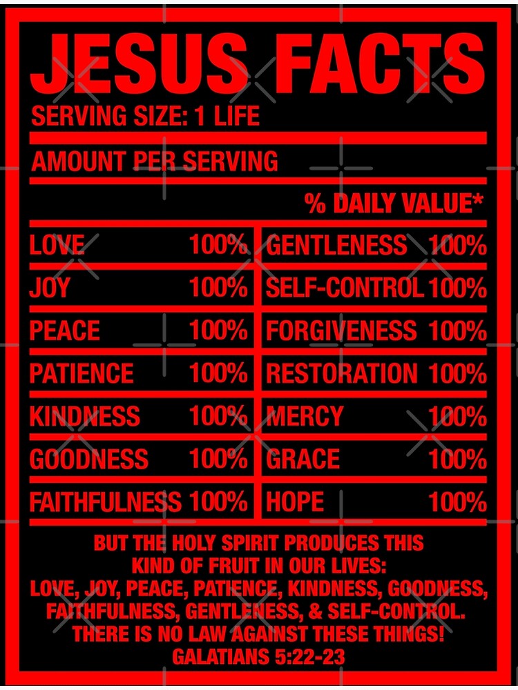 "Jesus facts" Poster for Sale by plushism | Redbubble