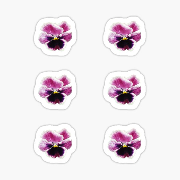 "Pansy" Sticker by STHogan | Redbubble