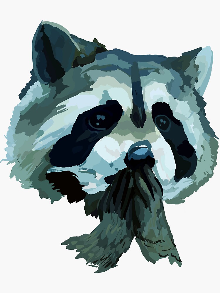 "Shocked raccoon" Sticker by Elfrododo | Redbubble