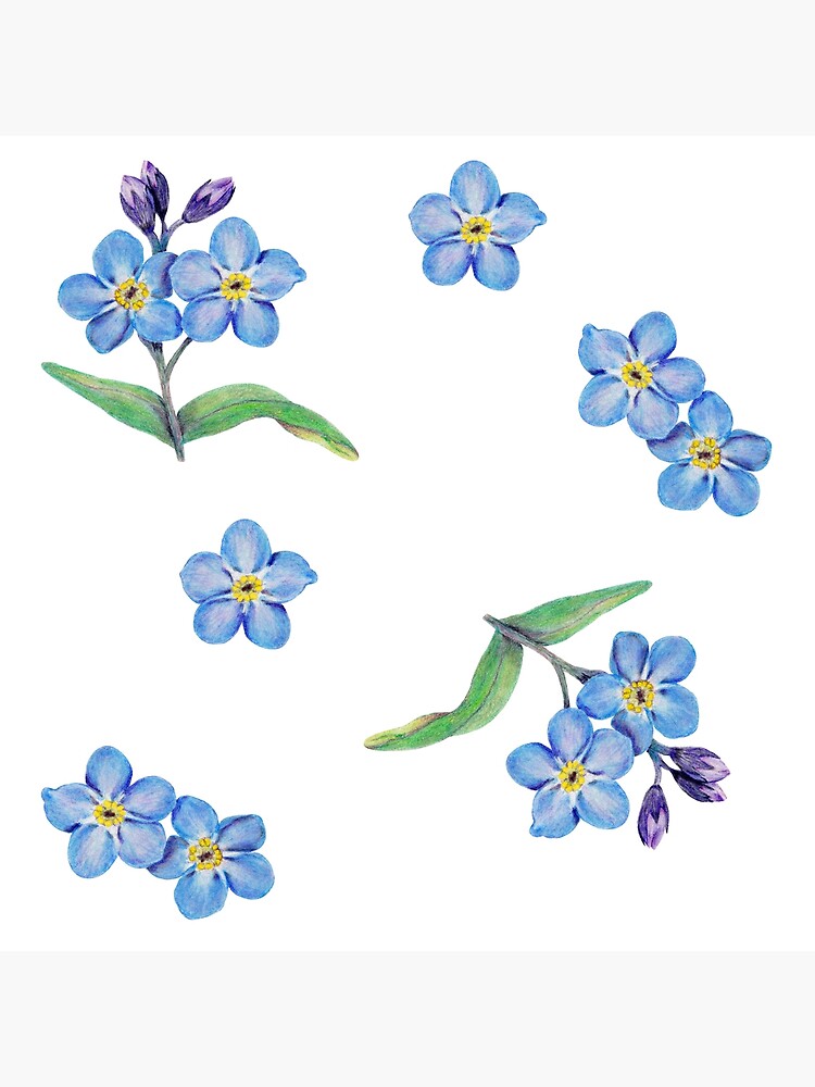 "Forget Me Not Pattern" Art Print by CasmahCreations | Redbubble