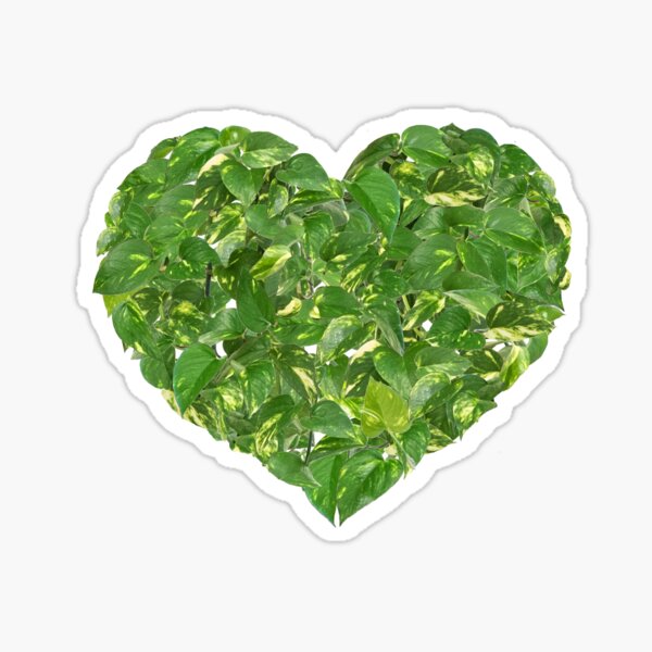 "Pothos Heart - I Love Pothos - Heart of Pothos" Sticker for Sale by ...