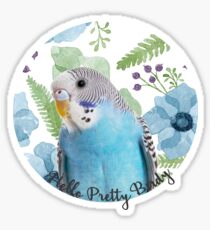 Budgie: Stickers | Redbubble