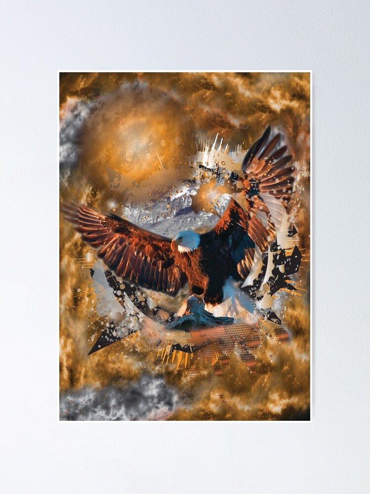 "American Bald Eagle" Poster by Cliffwild | Redbubble