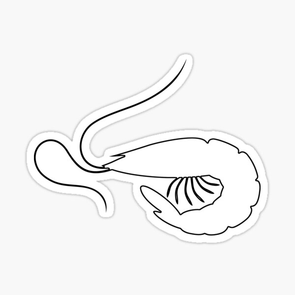 "Plain Shrimp Stencil" Sticker for Sale by StencilGifts | Redbubble