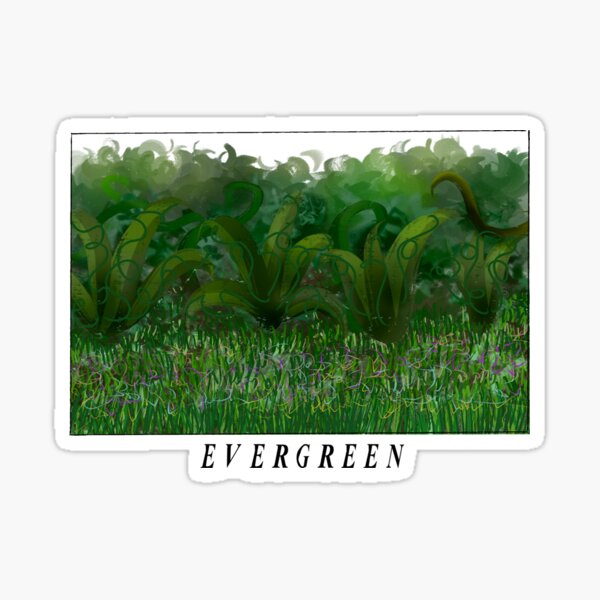"EVERGREEN" Sticker for Sale by lotus-stem | Redbubble