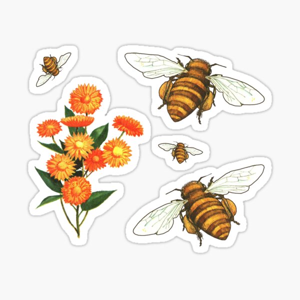 "Cute Bee Sticker Pack - Wholesome Bee Set" Sticker for Sale by elevens ...