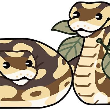 "Cute Ball Pythons" Sticker for Sale by SparkleSnake | Redbubble