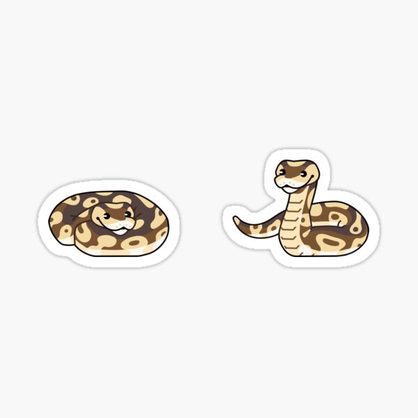 "Cute Ball Pythons" Sticker for Sale by SparkleSnake | Redbubble