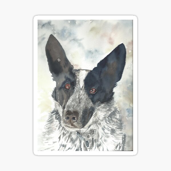 "Watchful Kelpie" Sticker by emmagreeneart | Redbubble