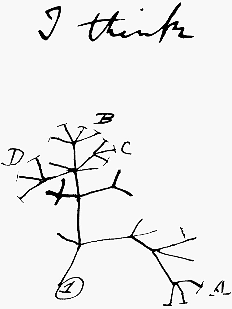 "Darwin - Tree of Life - I Think" Sticker for Sale by Univers3 | Redbubble