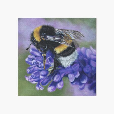 ""Bee Safe"" Art Board Print by PortraitByKaya | Redbubble