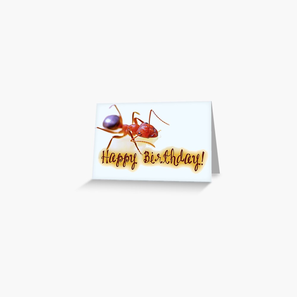 "Happy Birthday - Ant" Greeting Card for Sale by garigots | Redbubble