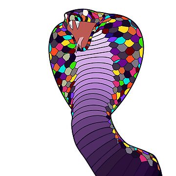 "Taylor Swift Reputation Tour Snake" Art Print for Sale by ...