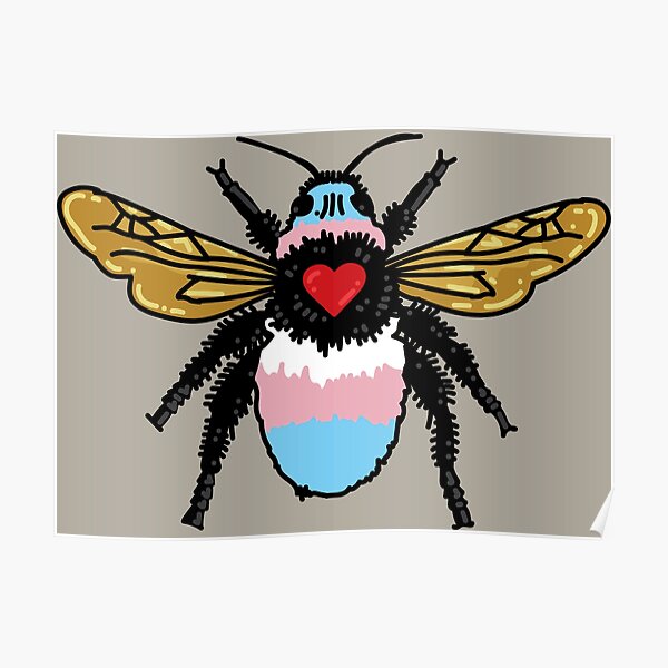 "Pride Bee! Transgender" Poster for Sale by eirbend | Redbubble