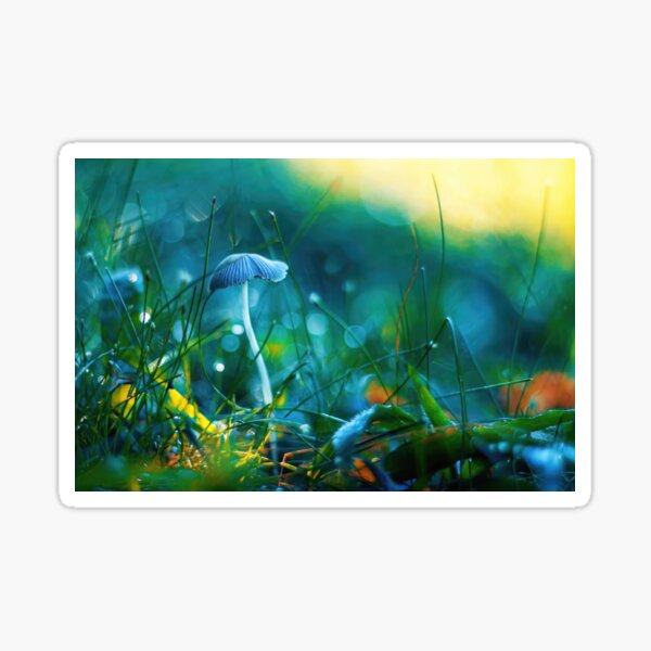 "Emerging to Ocean" Sticker for Sale by JoaoAlmeidaShop | Redbubble