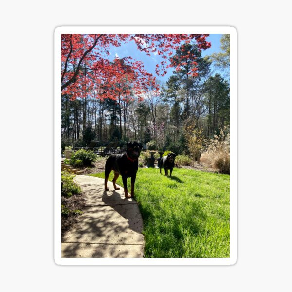 "Beautiful day " Sticker for Sale by BOBBYBABE | Redbubble