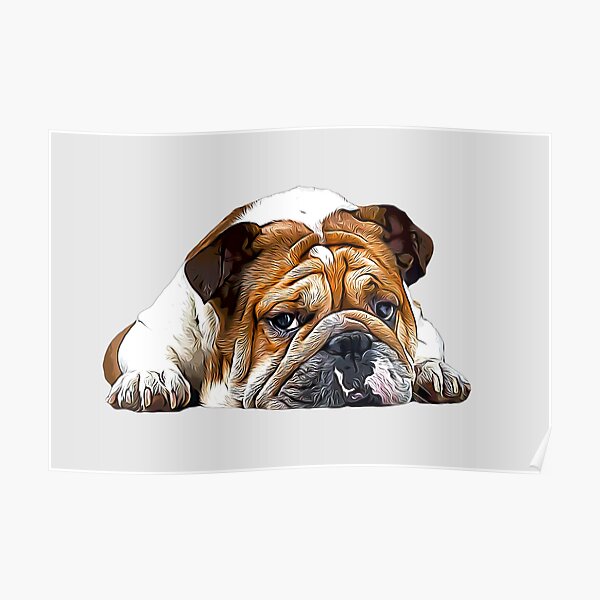 "English British Bulldog " Poster by ElegantCat | Redbubble