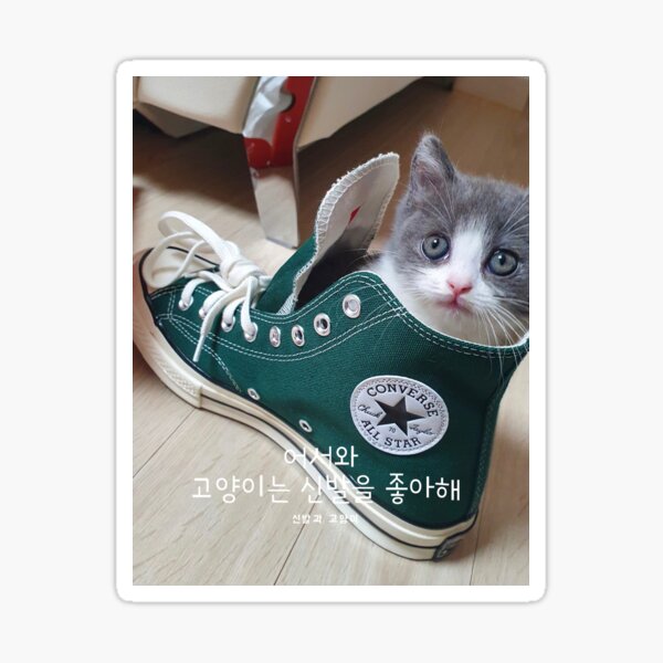 "cat shoe" Sticker by korean-alphabet | Redbubble