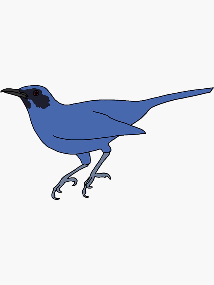 "Blue Mockingbird" Sticker for Sale by taylorrowan | Redbubble