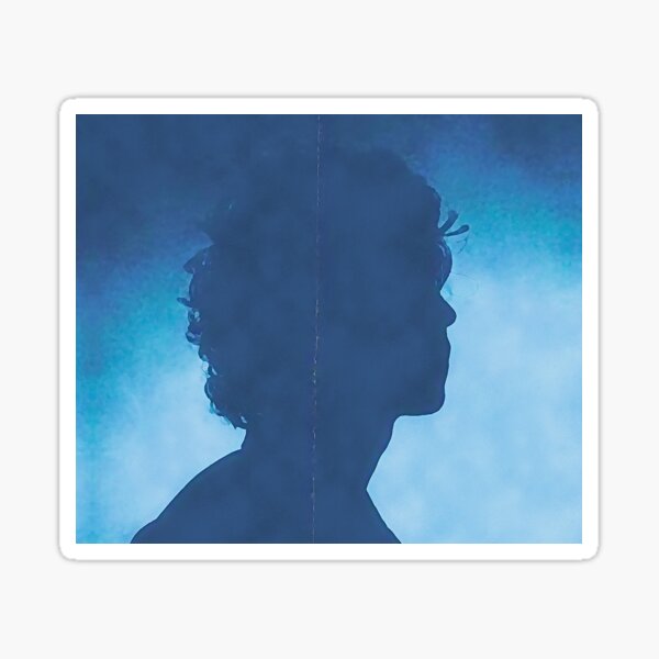 "aesthetic smoke shawn" Sticker by Sha-Doh | Redbubble