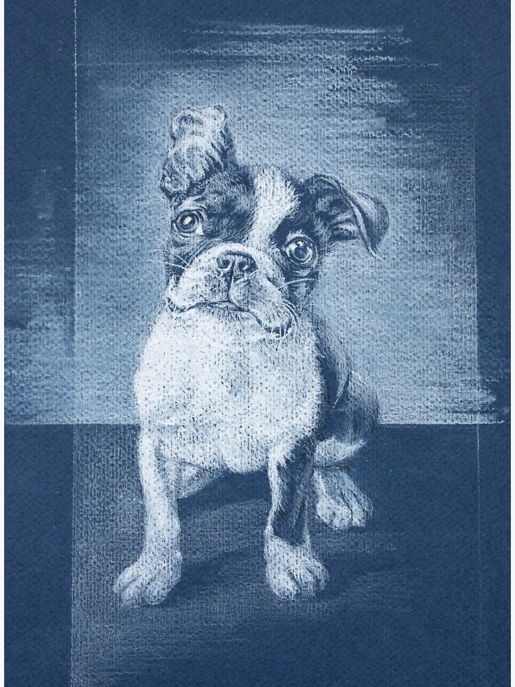 "Buldog Portrait. Dog pencil drawing. " Sticker for Sale by ...