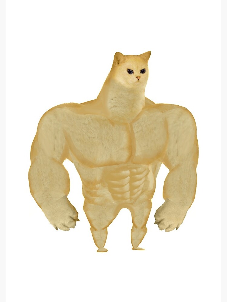 "Swole Cat Meme - Swole Dog Meme For Memes and Cats Lovers" Spiral ...