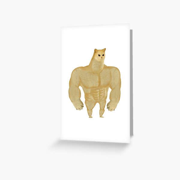 "Swole Cat Meme - Swole Dog Meme For Memes and Cats Lovers" Greeting ...