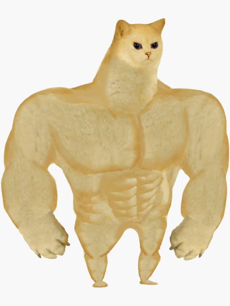 "Swole Cat Meme - Swole Dog Meme für Meme und Katzenliebhaber" Sticker ...