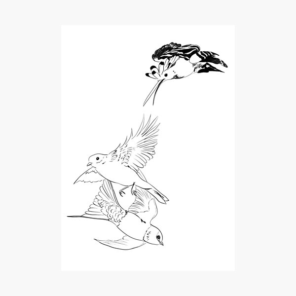 Lámina fotográfica «Mitología griega: Procne, Filomela perseguida por ...