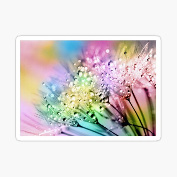 "Dandelion Drew Drops" Sticker by Carmencitta | Redbubble