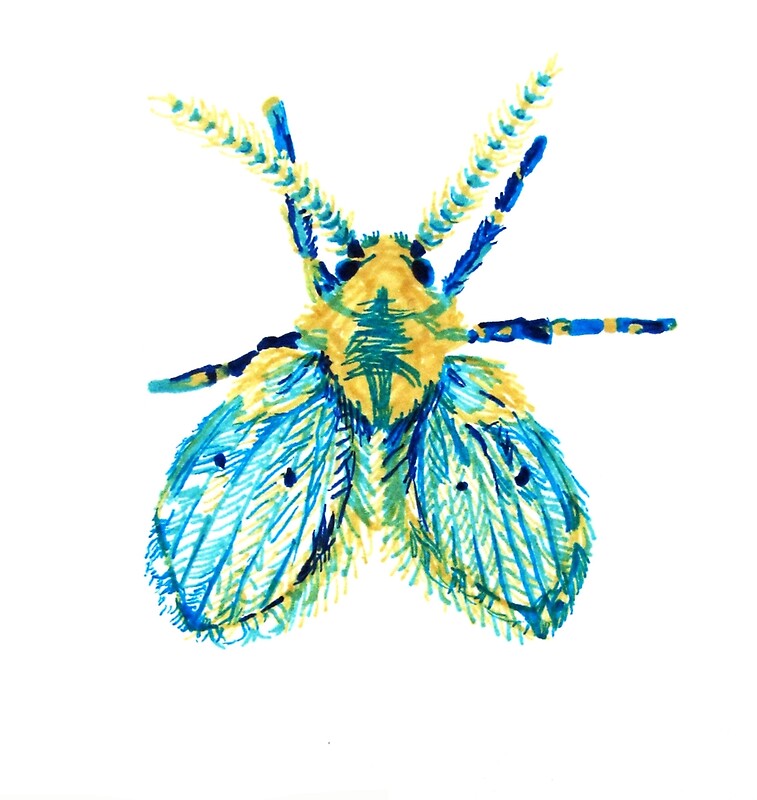 "Drain Fly" by RaLiz | Redbubble
