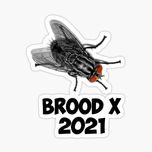 "Brood X the Great Eastern Brood 2021 Emergence" Sticker for Sale by ...