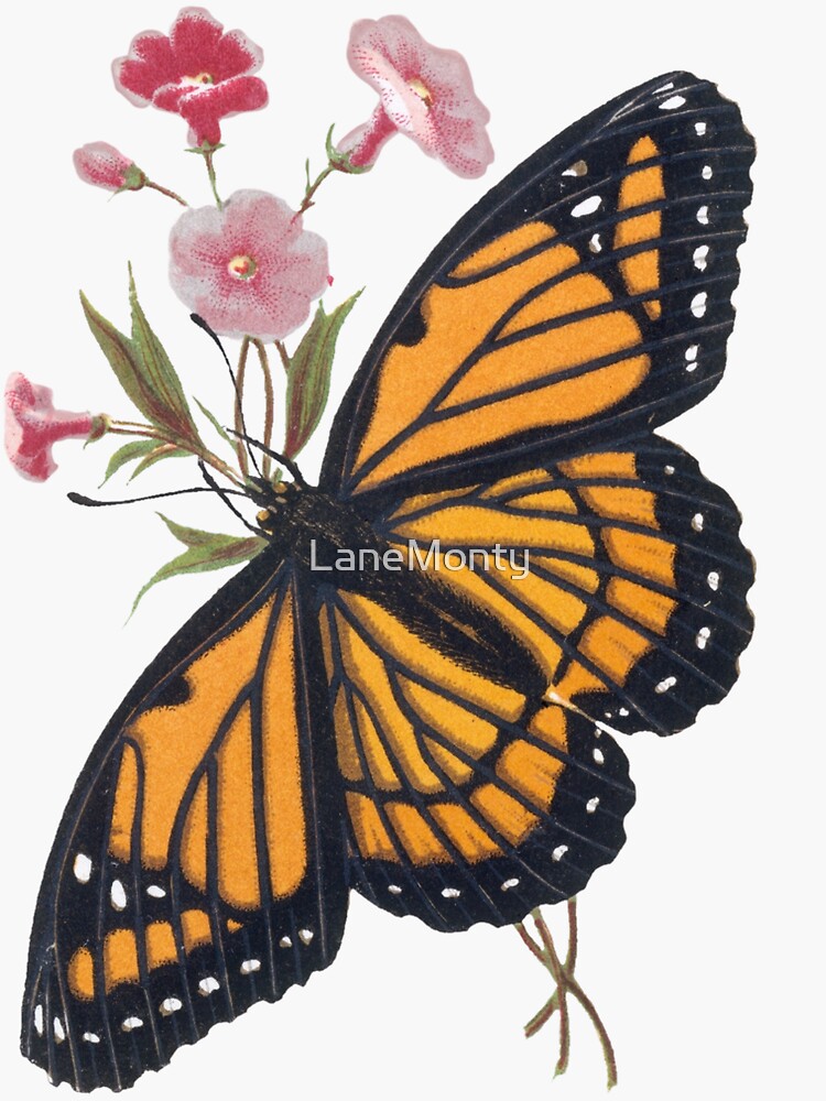 "Vintage Cottagecore Floral Monarch Butterfly Sticker Card Design with ...