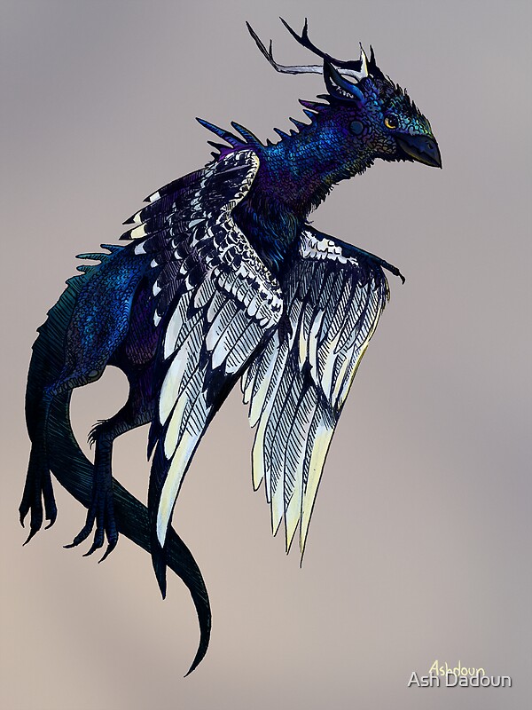 "Magpie Dragon" by Ash Dadoun | Redbubble