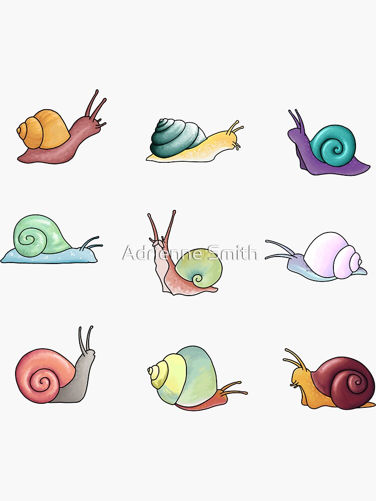"Colorful cute friendly snails" Sticker for Sale by Adrienne Smith ...