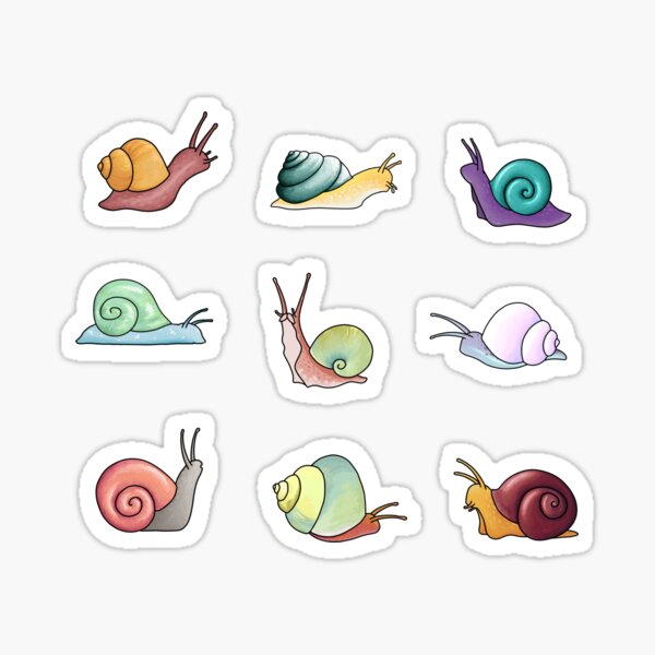 "Colorful cute friendly snails" Sticker by a1rose | Redbubble