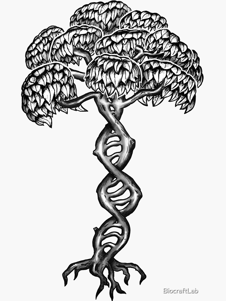 "DNA tree" Sticker for Sale by BiocraftLab | Redbubble