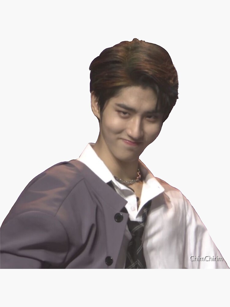 "Stray Kids Han Meme" Sticker for Sale by ChimChirim | Redbubble