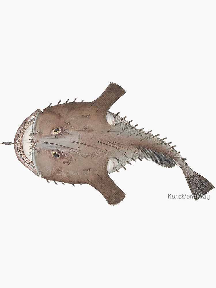"Monkfish" Sticker for Sale by KunstformWay | Redbubble