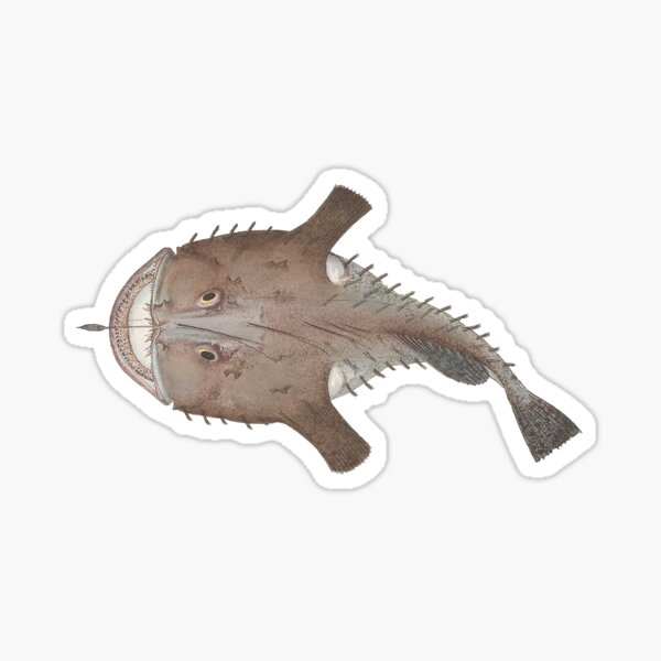 "Monkfish" Sticker for Sale by KunstformWay | Redbubble