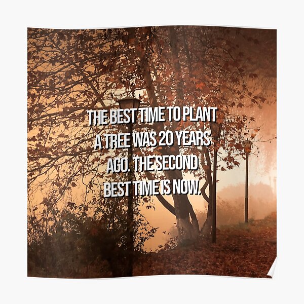 "Inspirational quote from nature - The best time to plant a tree was 20 ...