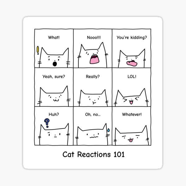 "Cat Reactions 101 - A Guide to cat facial expressions" Sticker for ...