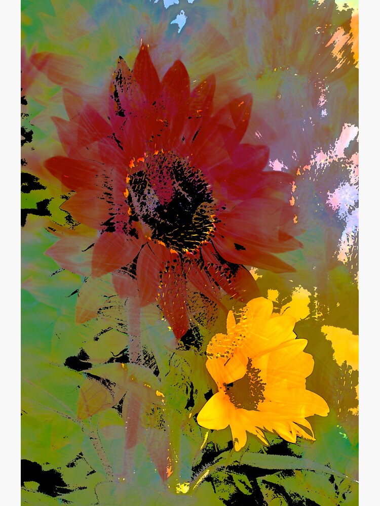 "Sunflower 33" Sticker by secretgardener | Redbubble