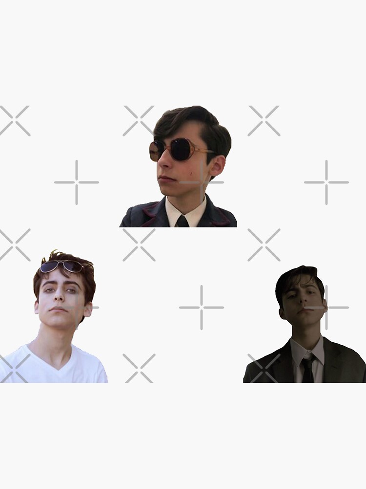 Pegatina «Aidan Gallagher Sticker Pack» de camilagoyena | Redbubble